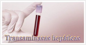 Transaminasas hepáticas: ¿qué son?