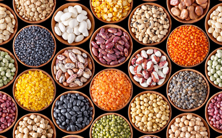 ¿Cuáles son las propiedades de las alubias?